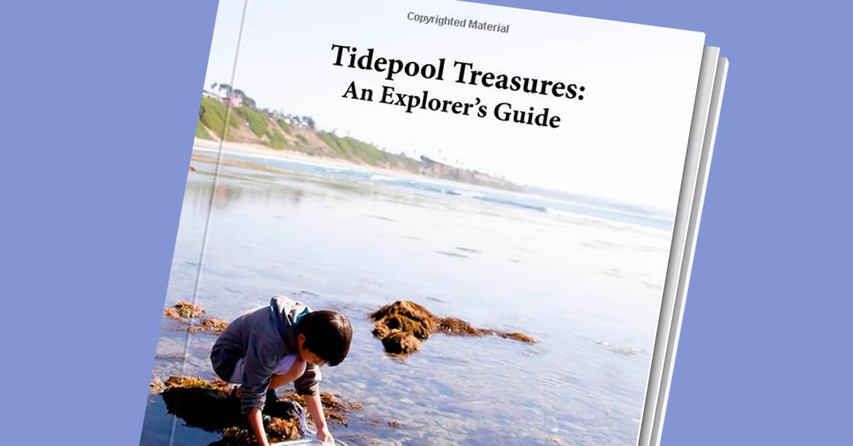Tidepool Explorer Guide - High Tech Elementary Explorer
