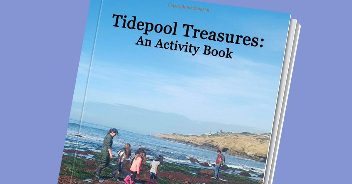 Tidepool Activity Book - High Tech High