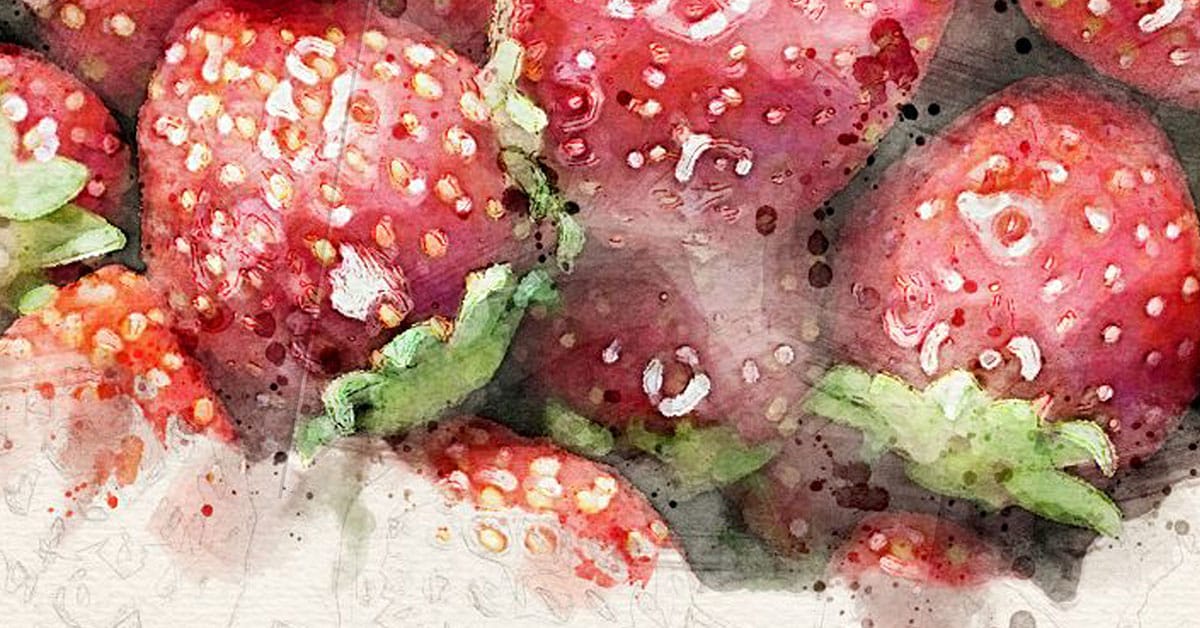 Food & Nutrition Services - High Tech High